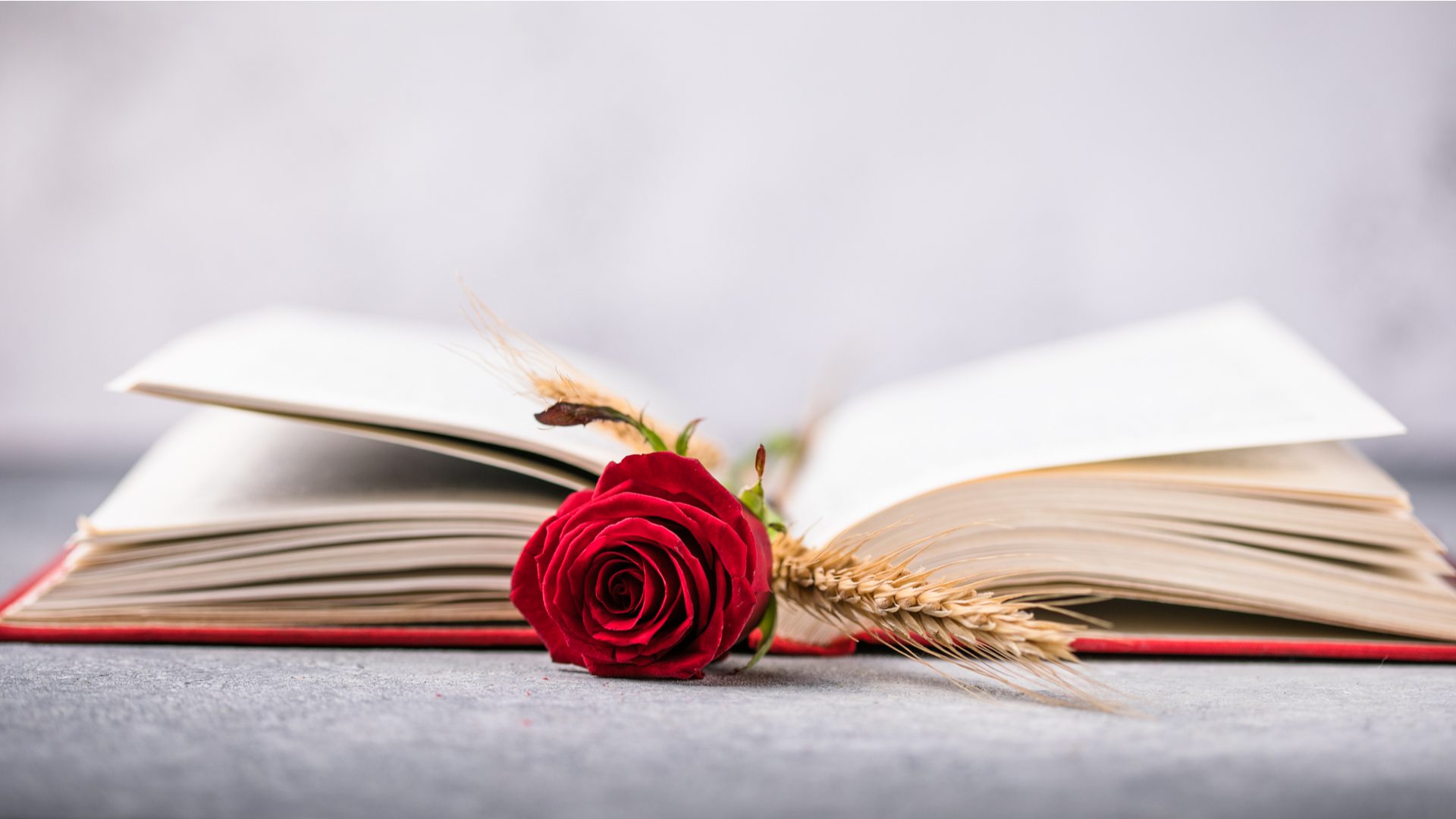 Sant Jordi y su origen: ¿de dónde vienen los libros y las rosas?