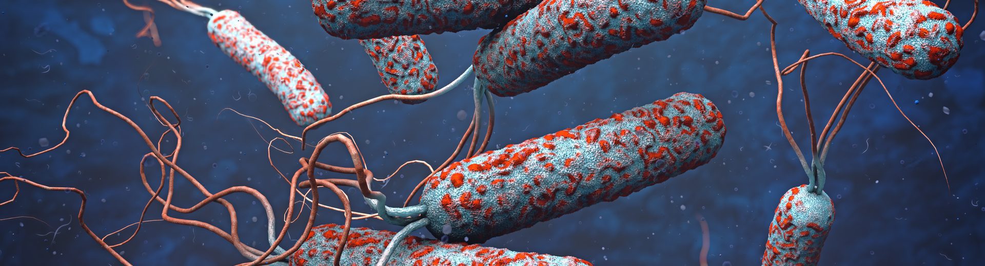 La bacteria a la que se atribuyó el último caso de cólera en España