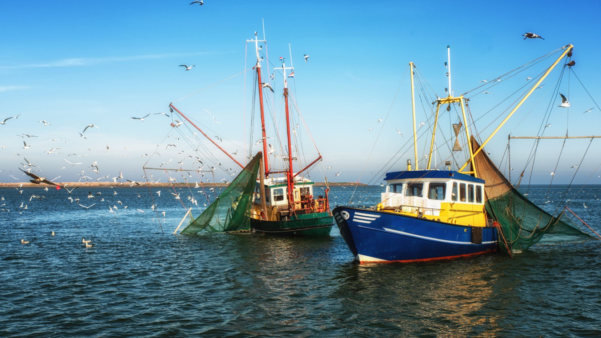 Las zonas afectadas por el veto de Bruselas a la pesca de fondo