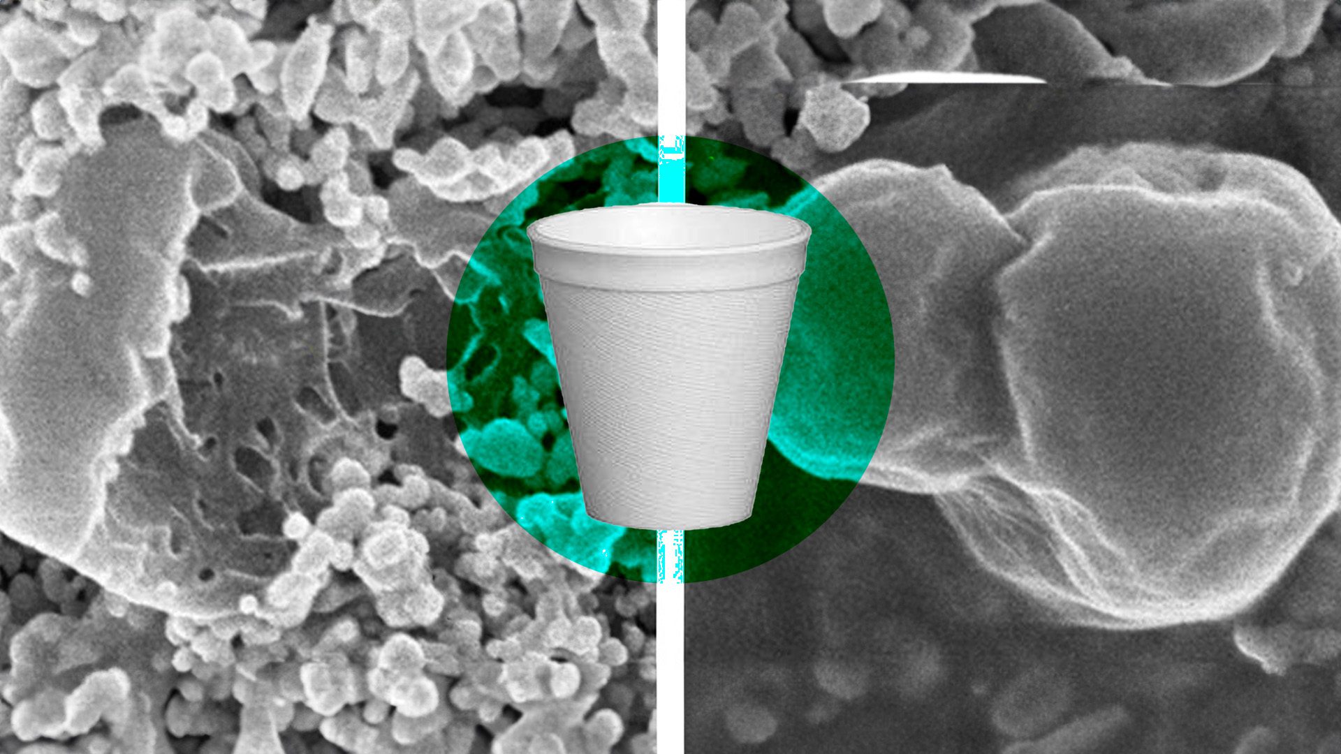Moldes De Agua Sob Microscopio PIBID BIOLOGIA UNIPAMPA: OBSERVAÇÃO