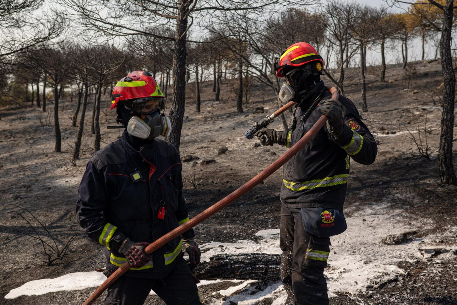 Qué tipos de bomberos hay en España y cómo acceden al cuerpo