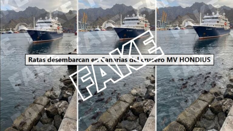 Vídeo de ratas en el crucero en Canarias está hecho con IA